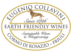 Collavini Sauvignon blanc - Vino i tako to